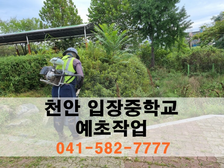 천안예초작업 맛집 / 왜 조경전문업체를 선정해야될까요?? : 네이버 블로그
