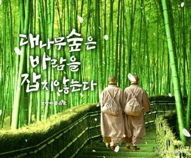 풍래소죽(風來疎竹) : 대숲은 바람을 잡지 않는다 : 네이버 블로그