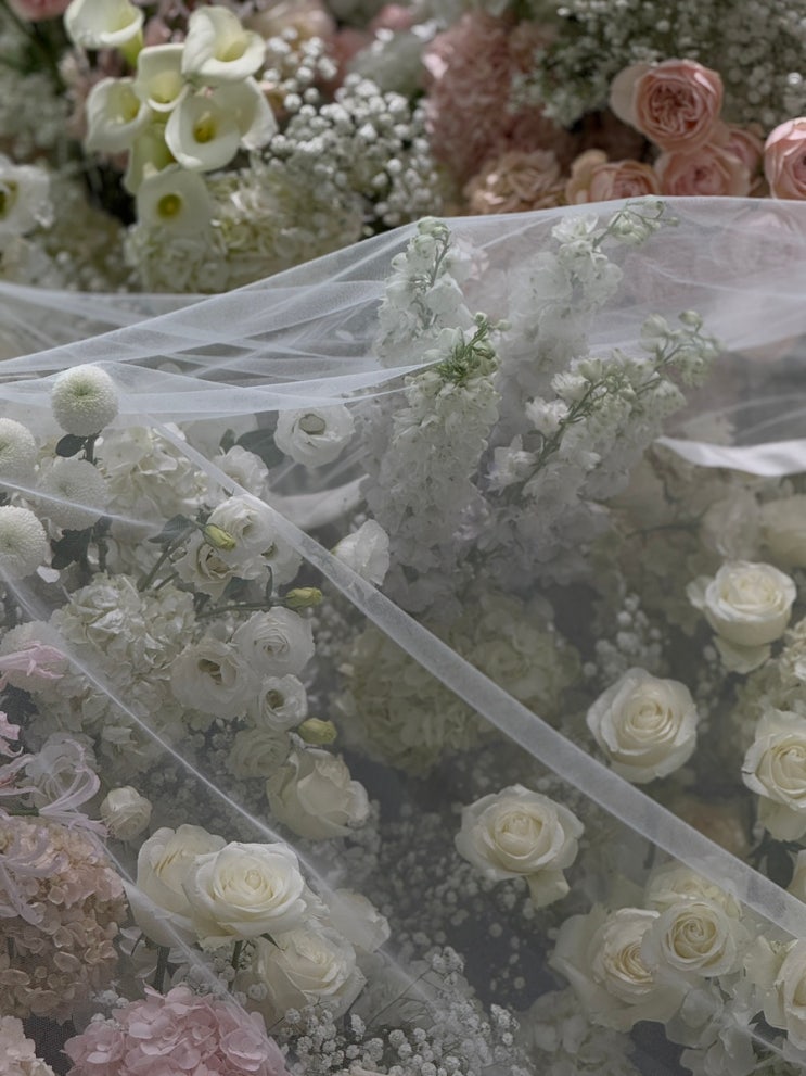 감성 아이폰스냅 오브드문 촬영 후기 : 네이버 블로그