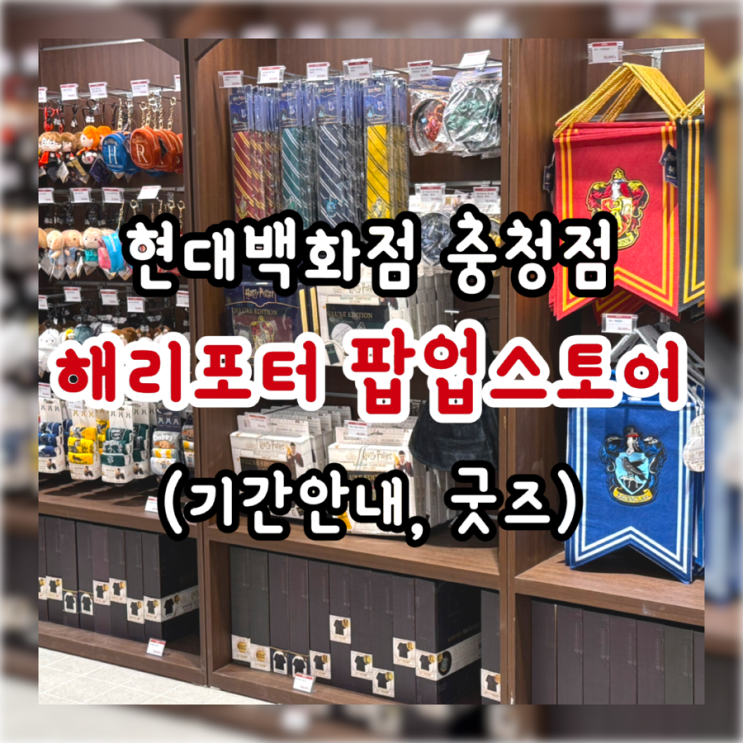청주 현대백화점 충청점 위자드몰 해리포터 팝업스토어 오픈🧙🏻(12/12~12/28) : 네이버 블로그