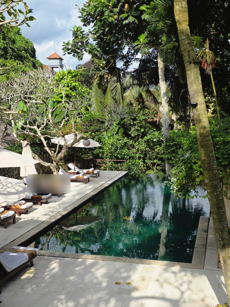 발리 우붓 숙소 코마네카 앳 몽키포레스트 만족 후기 : 네이버 블로그