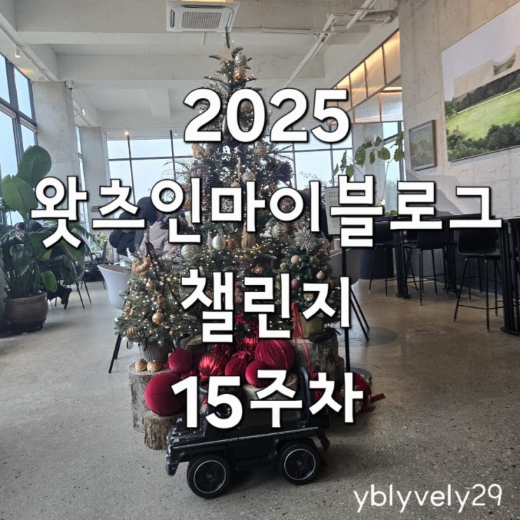 2025년 왓츠인마이블로그 챌린지 15주차 우리 가족 생일파티 : 네이버 블로그