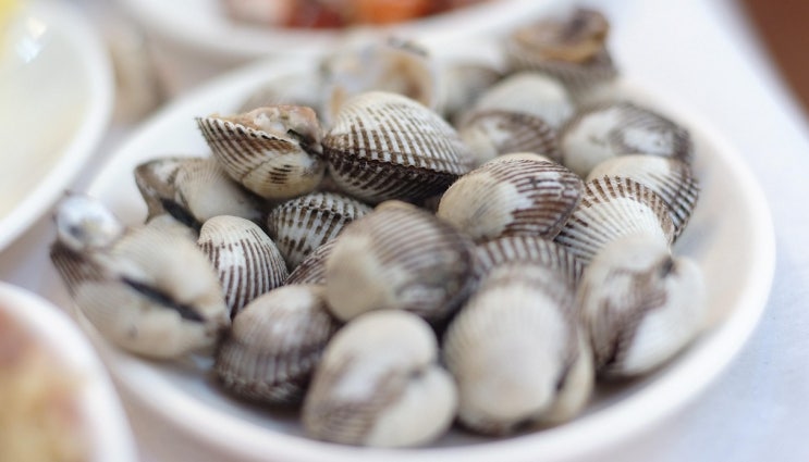 아무리 씻어도 모래 씹힌다면? 실패 없는 꼬막 해감법 : 네이버 블로그