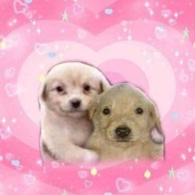 결혼합니다! 💍 : 네이버 블로그