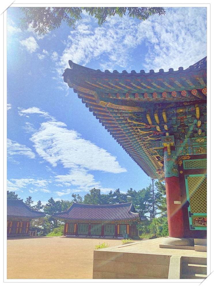 메디움 강남 요양병원 입원 생활과 재활 치료 이야기 : 네이버 블로그