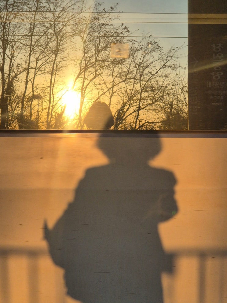 #12월 : 네이버 블로그