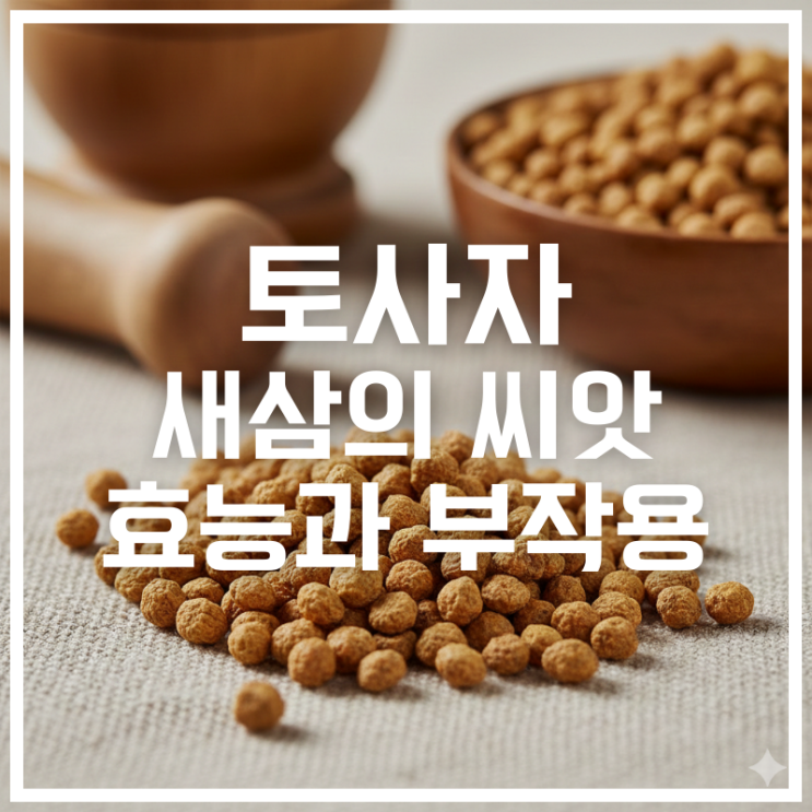 토사자 효능과 부작용 어떻게 먹는지 알아보기 : 네이버 블로그