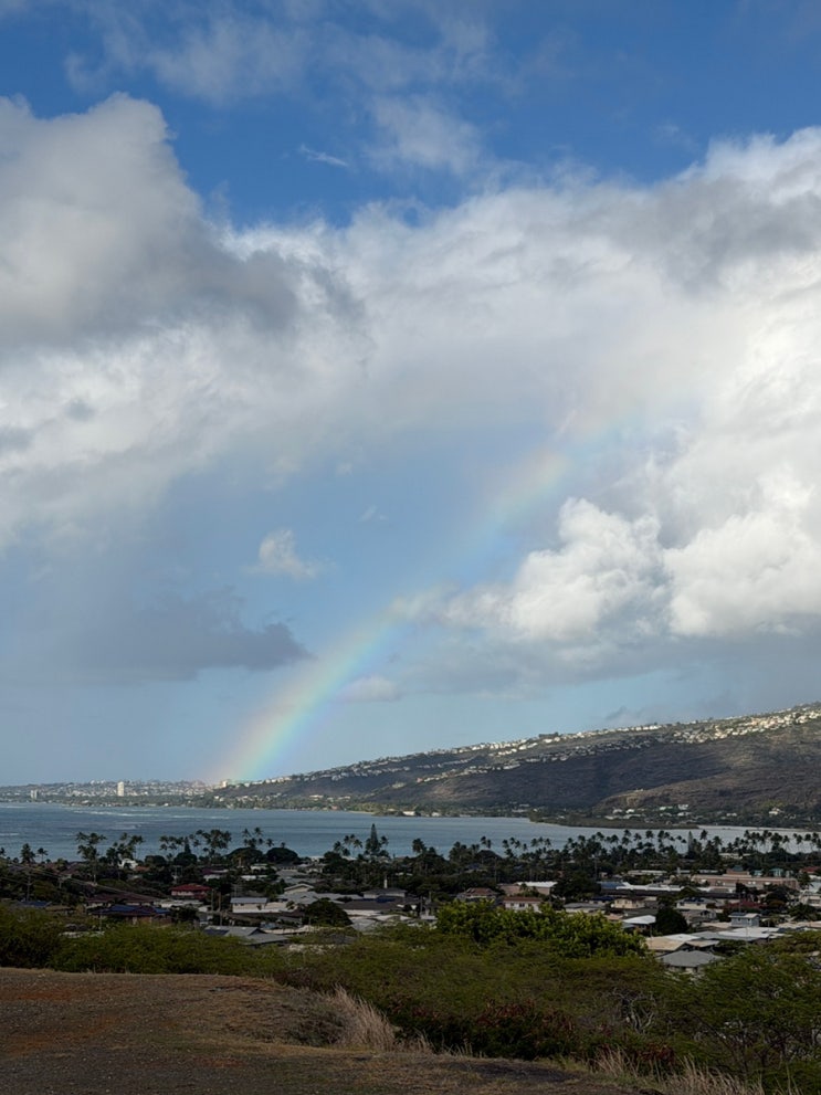 [하와이 신혼여행 일기] 7일차 오아후 feat. 무지개 : 네이버 블로그
