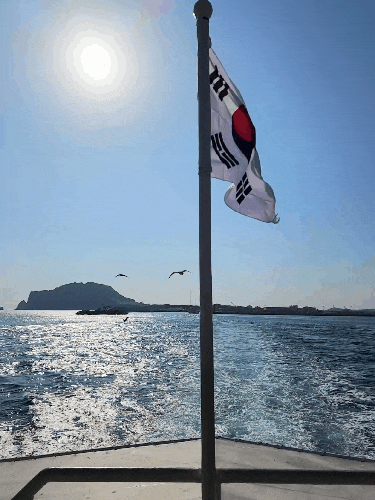 자차끌고 [우도 여객선]타고 우도여행 (우도배요금/차량 입도 방법) : 네이버 블로그