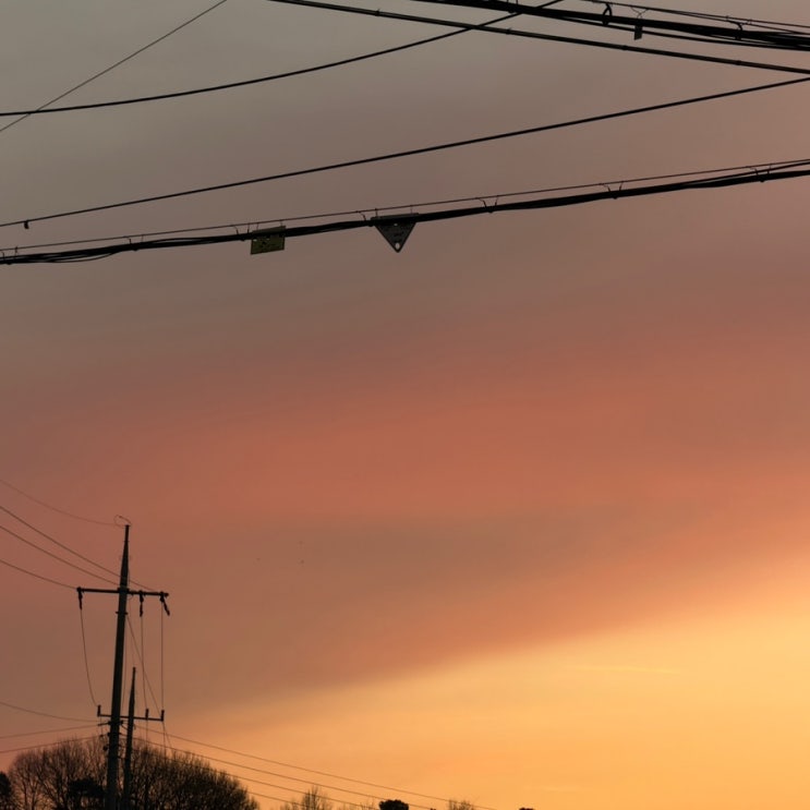 25.12-#1 : 네이버 블로그