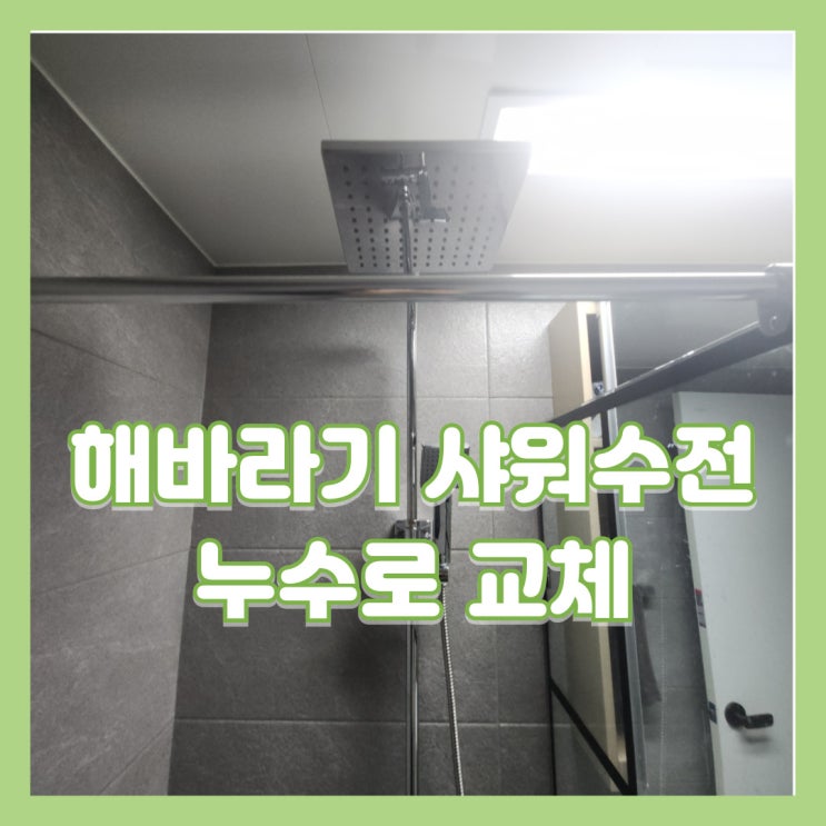 해바라기 샤워수전 레버 누수, 교체로 누수 해결 : 네이버 블로그