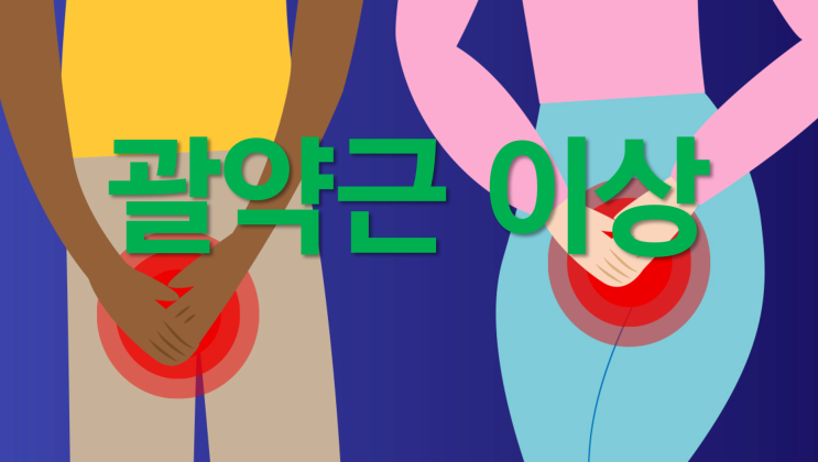 괄약근이 삶의 질을 좌우? 인체 괄약근 6개와 약해지는 이유, 관리법 총정리 : 네이버 블로그