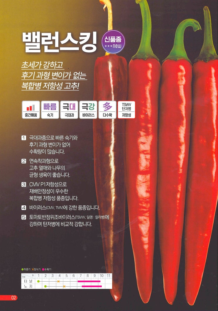 2026년_팜한농 흥농씨앗 고추 품종 안내 : 네이버 블로그