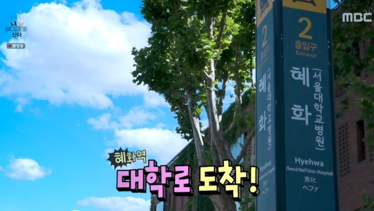 누나 혹시 배우예요? -하반기편- : 네이버 블로그