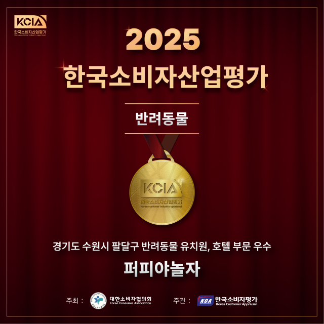 수원 강아지유치원 퍼피야놀자 KCIA시상식 : 네이버 블로그