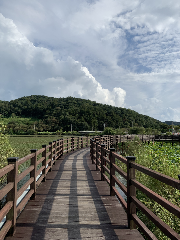 [세종명소추천] 고복자연공원 : 네이버 블로그