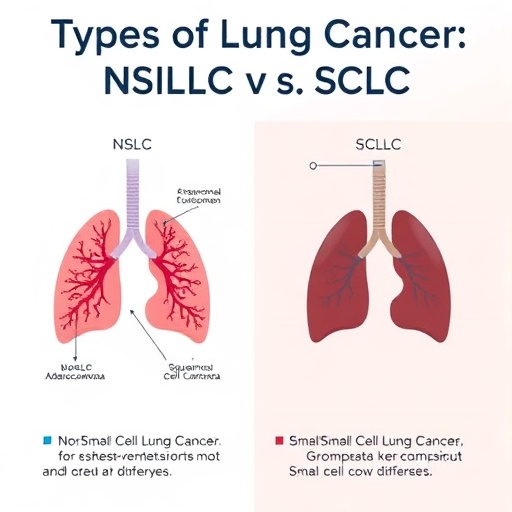 폐암의 종류(NSCLC vs SCLC)와 치료 차이 : 네이버 블로그