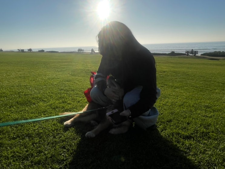 [2025.12.08-2025.12.14] 12월의 둘째 주 : 네이버 블로그