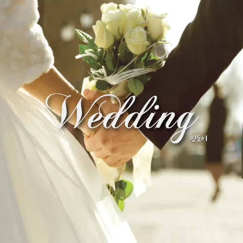 [본식DVD] 1인3캠 가성비DVD “별똥별필름" 계약 후기(+짝꿍할인코드, 페이백) / 더뉴컨벤션웨딩홀 : 네이버 블로그