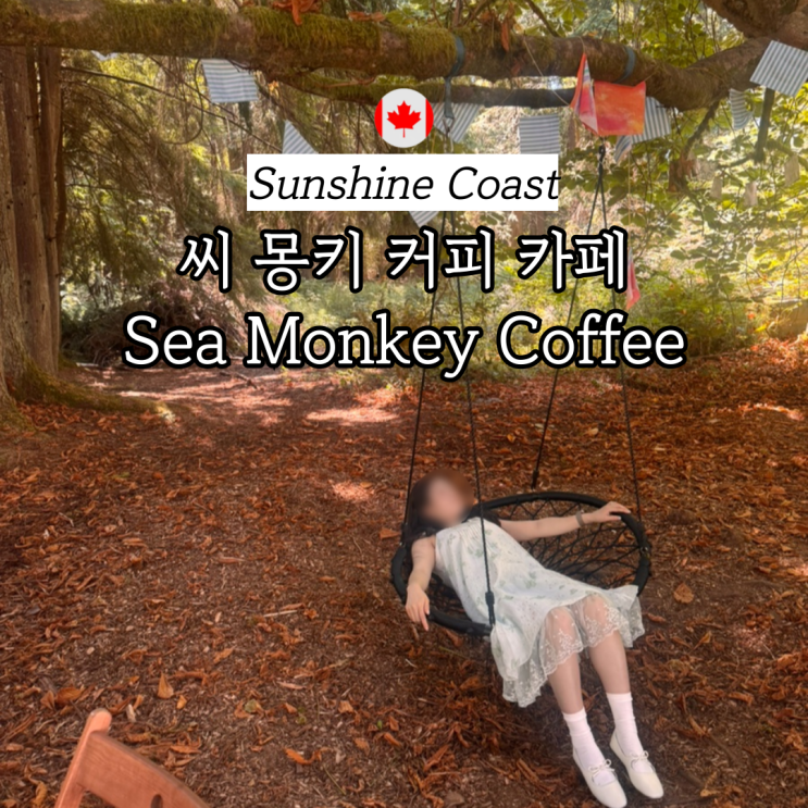 밴쿠버 근교 여행 선샤인코스트 씨 몽키 커피 카페 : 네이버 블로그