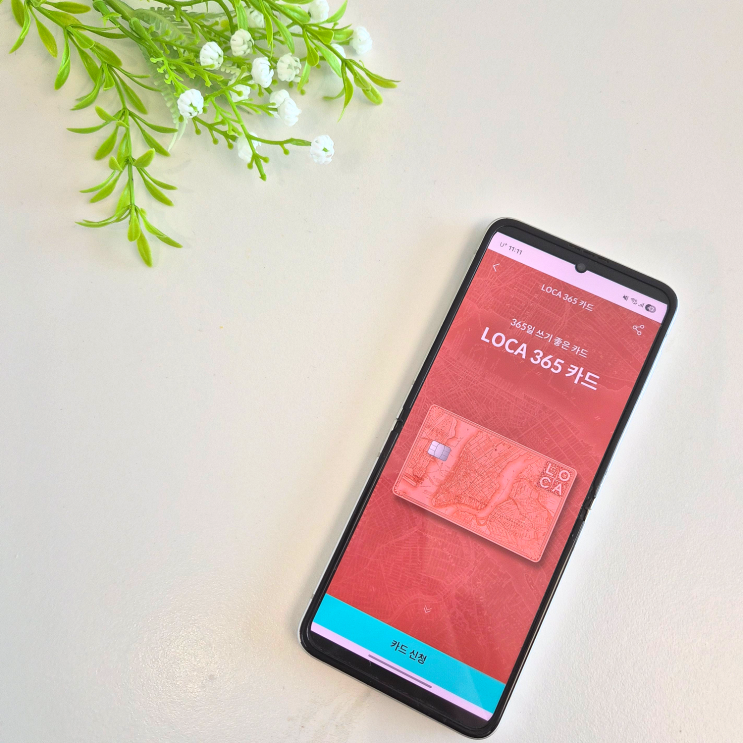 롯데카드 끝판왕 로카365 혜택과 실적 제외 조건 알아보기 : 네이버 블로그