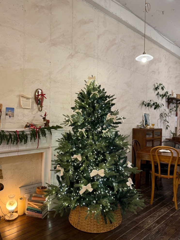 12월 : 네이버 블로그