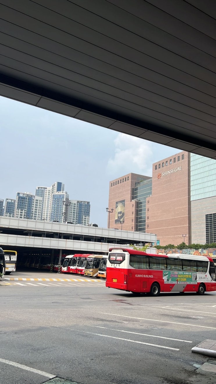 📌 12월 19일 여수밤바다 입하 소식 — 새조개·하모·대삼치·돌문어·생굴·홍어·참꼬막·새꼬막 🌊🐟 : 네이버 블로그