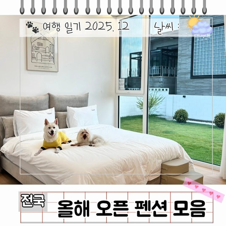 깨끗한 숙소 찾는다면?! 2025년 오픈한 신축 애견펜션 BEST 9 : 네이버 블로그