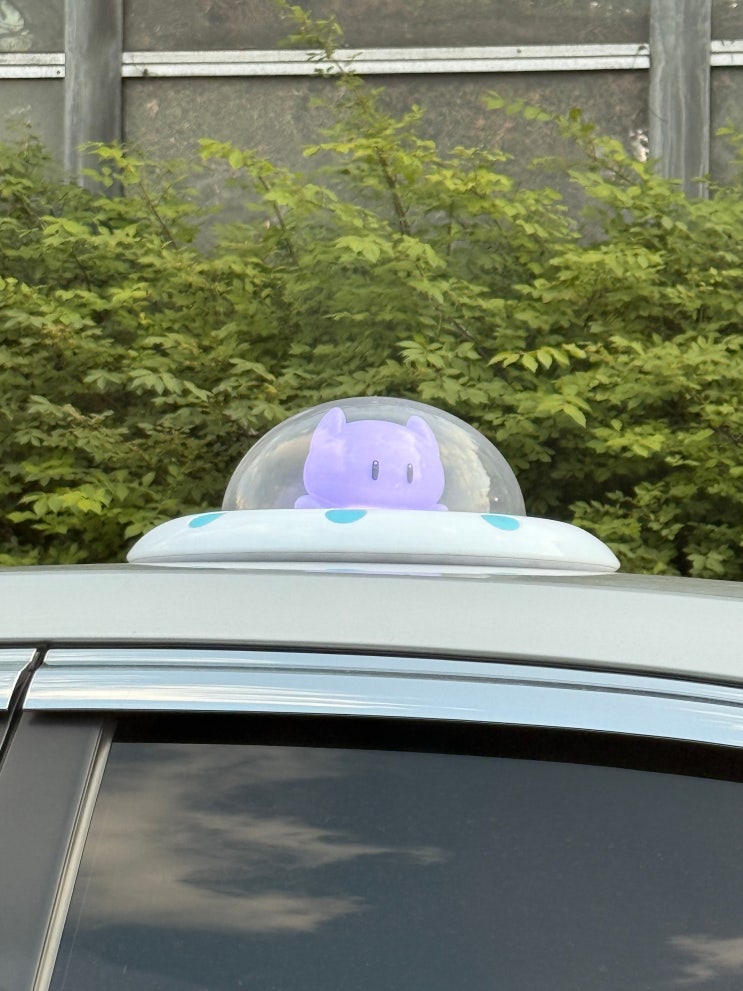 WIMB_16 | 대전인의 이모저모 사는 이야기, 10월달 피크민 요약 : 네이버 블로그