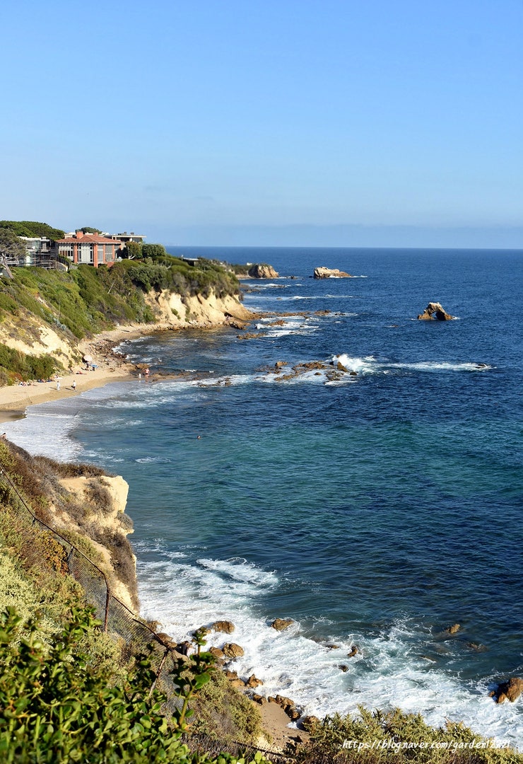 Little Corona Del Mar (리틀 코로나 델 마르) : 네이버 블로그