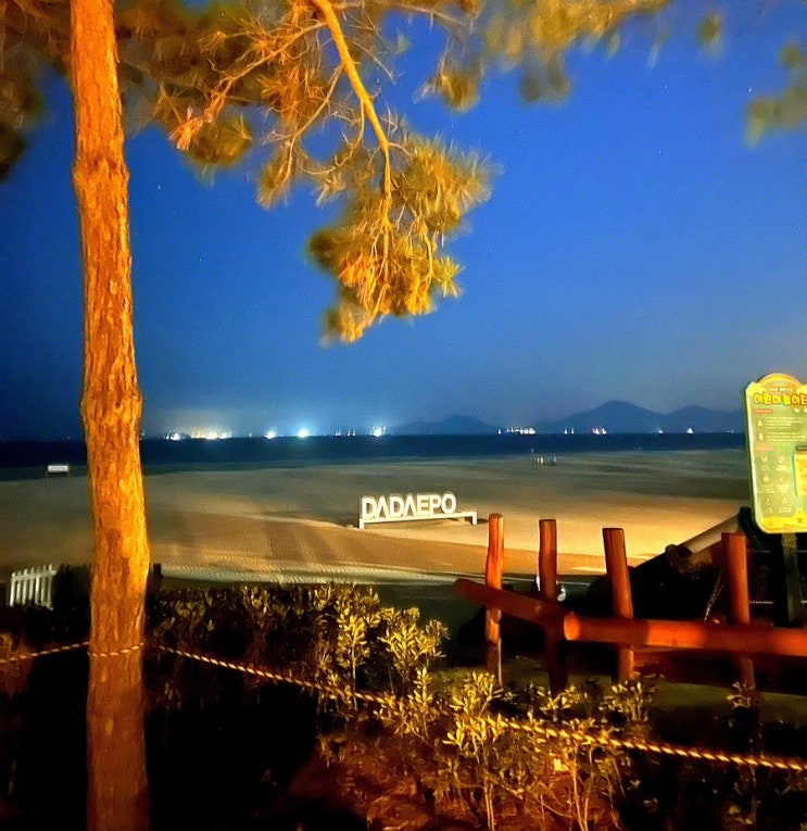 부산 다대포 해수욕장🎇 : 네이버 블로그