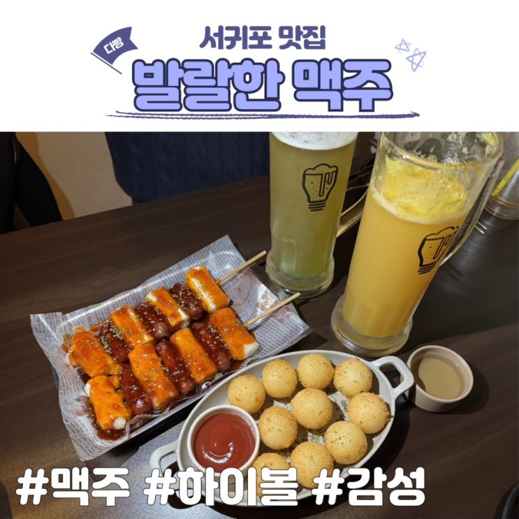서귀포항 맛집 올레시장 술집 발랄한맥주 솔직 후기 : 네이버 블로그