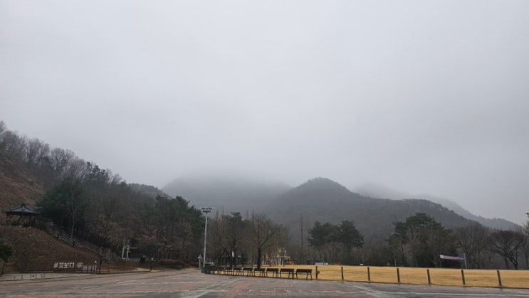 흐린 겨울날은 쥐약인 종이배의 결혼 26주년... : 네이버 블로그