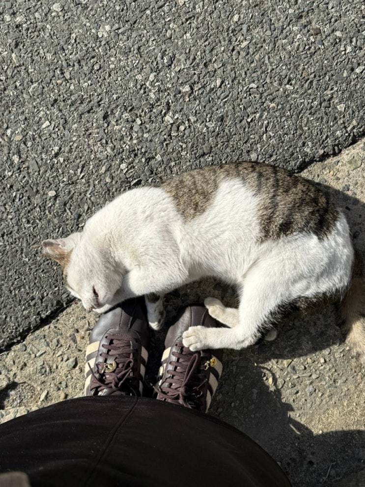 12월을 기록하며 : 네이버 블로그