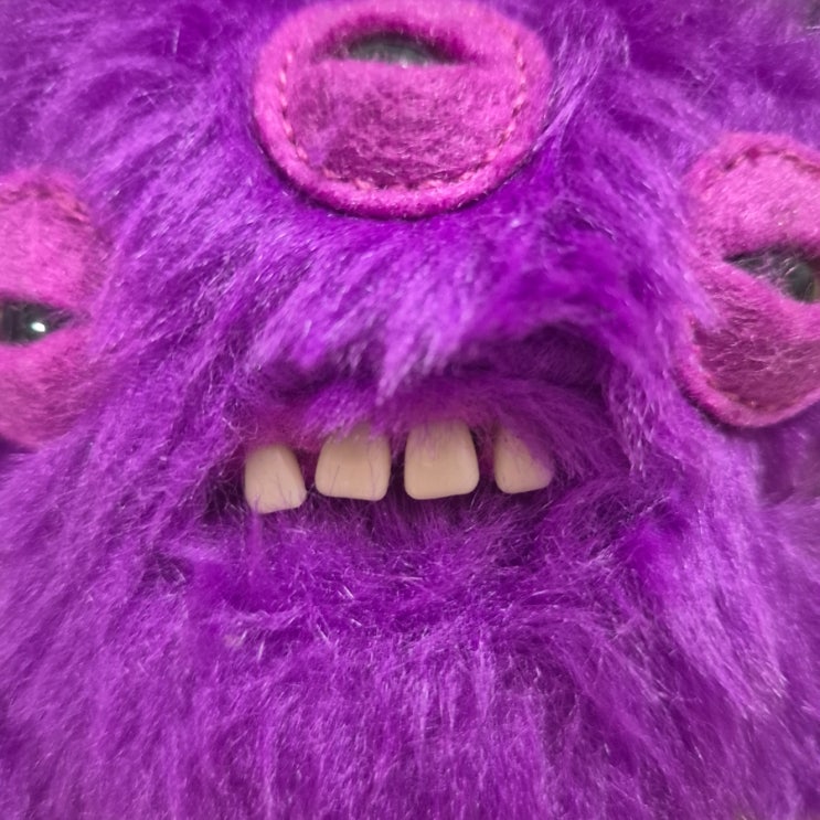 안보면 10년은 손해보는 나의 이야기들(귀여운 고양이사진 다수) : 네이버 블로그