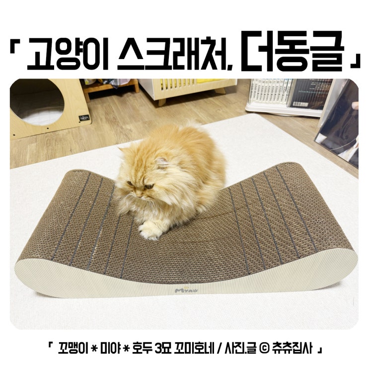고양이 스크래처 추천 발톱 클로우 케어 가능한 더동글 고양이 스크래처 : 네이버 블로그