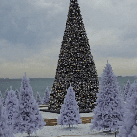 간절곶 초대형 트리 적설테마 방문기, 새해 일출 전날 밤 코스 추천 : 네이버 블로그