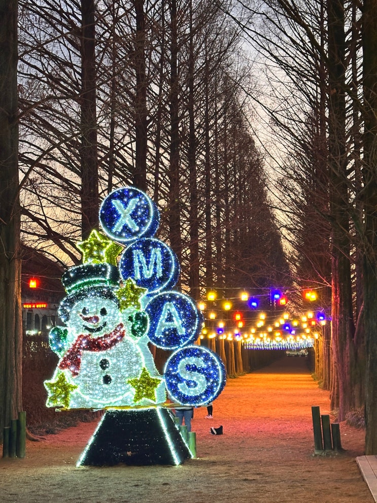 담양 산타축제 메타세콰이어길 입장료 크리스마스 어린이 프로방스 : 네이버 블로그