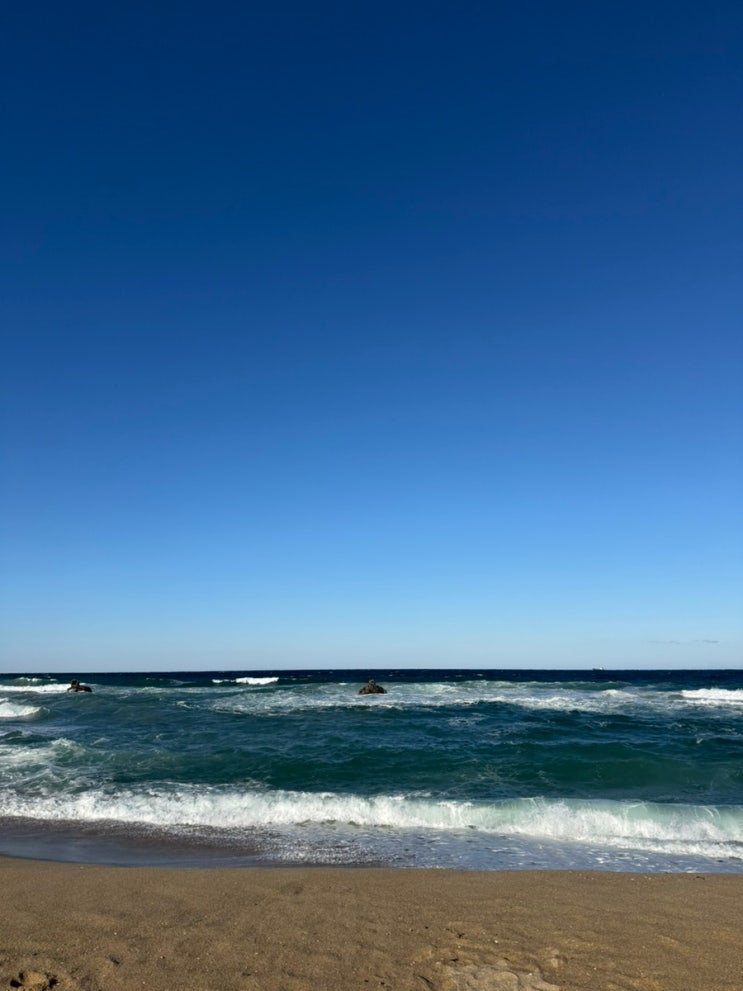 12월 셋째 주 이야기 : 네이버 블로그