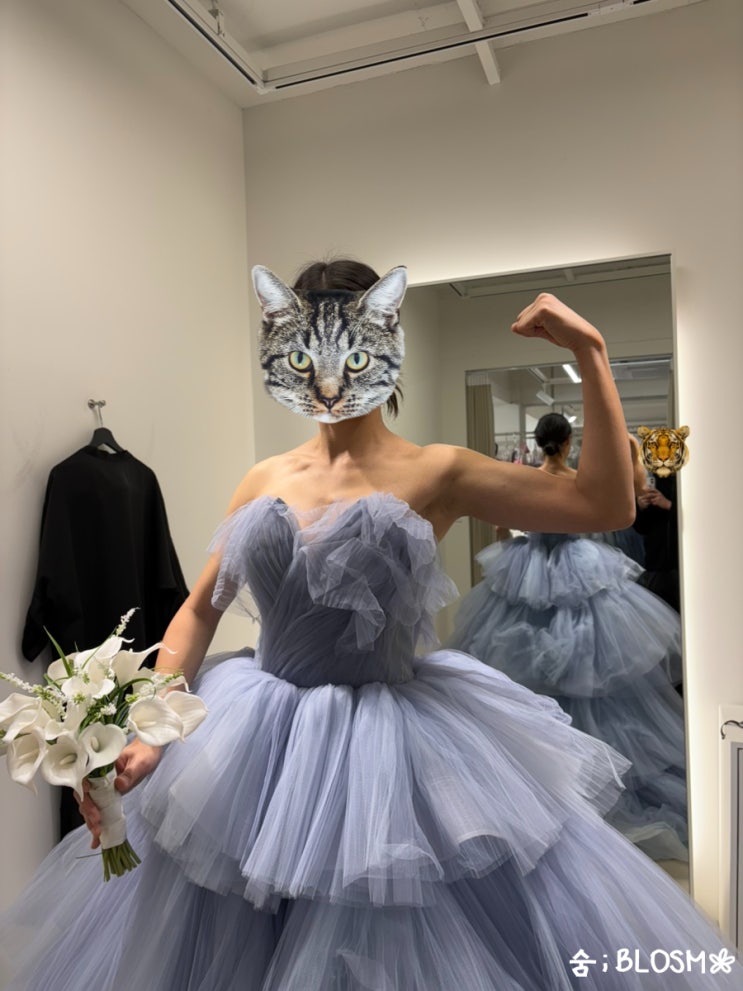 베일즈 드레스 예약 피팅 후기_5벌 입어보기(내돈내산) : 네이버 블로그