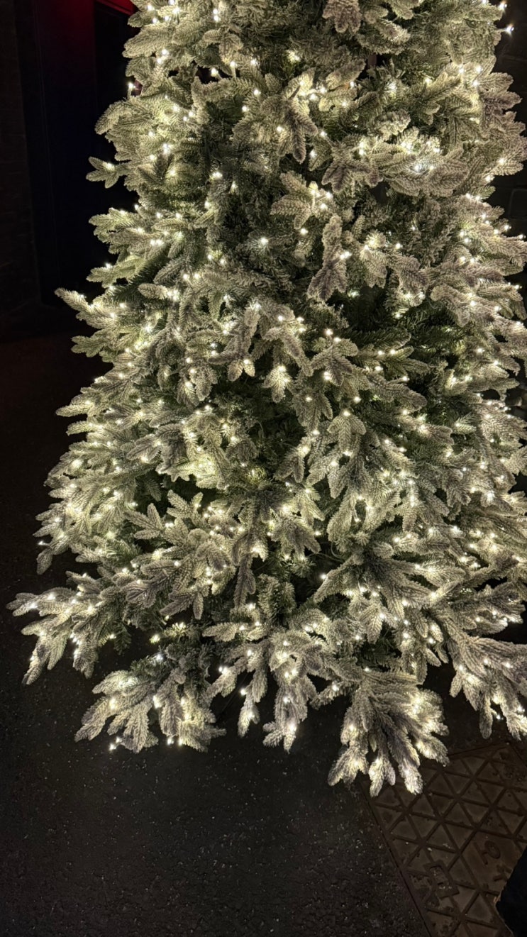 12/18-12/24 : 네이버 블로그