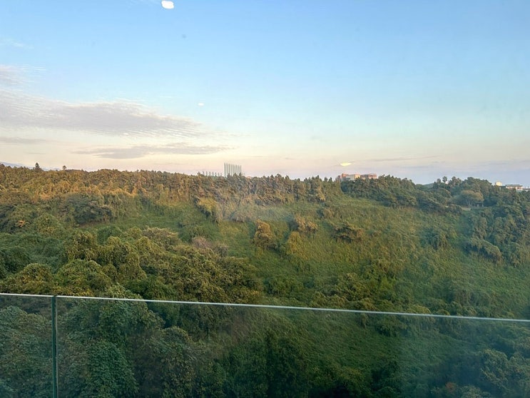 히든클리프 제주 겨울 야외수영장 사계절 온수풀 중문 호캉스, 조식, 산책로 : 네이버 블로그