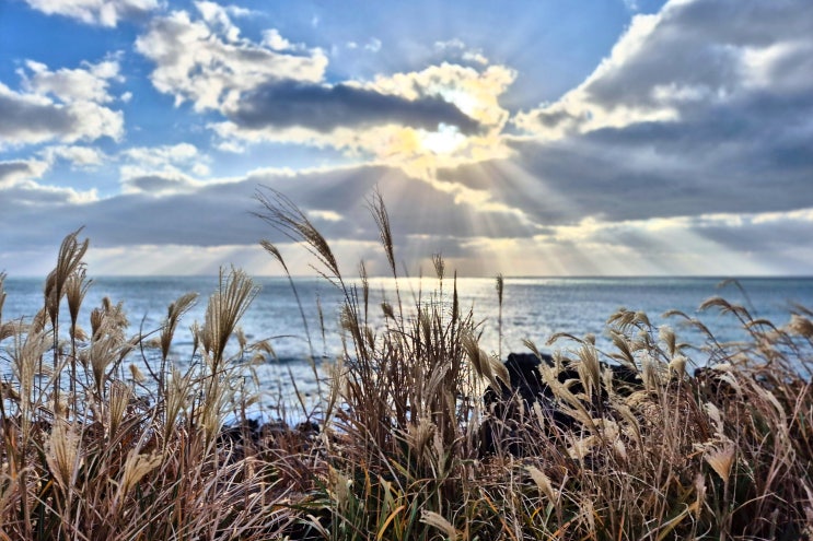 제주도 서부해안 환상의 빛내림... 251221.. : 네이버 블로그