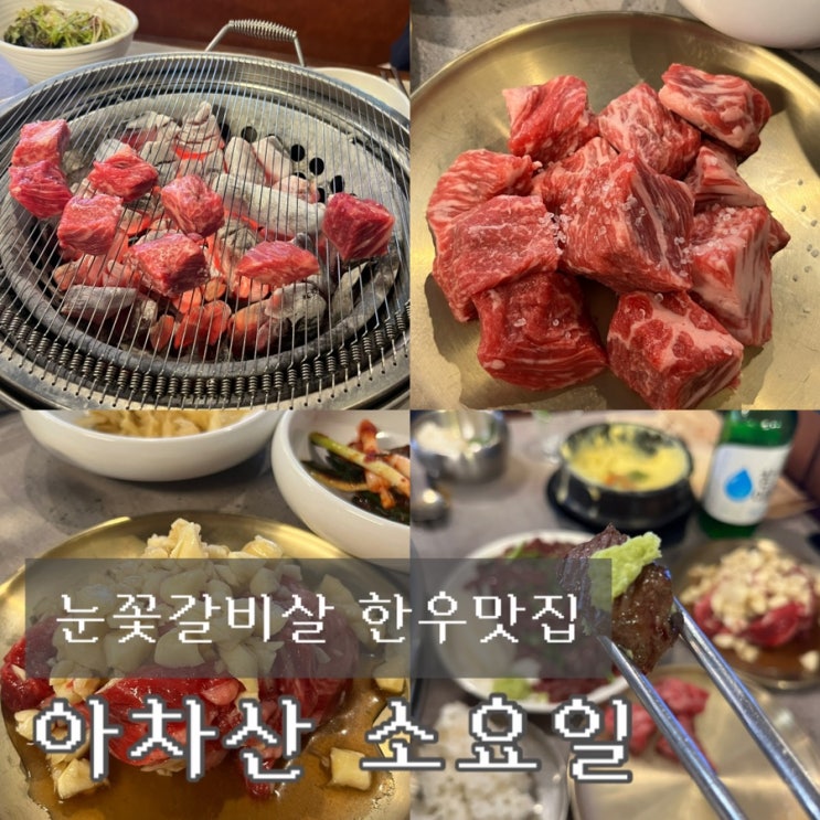 아차산 소요일 내돈내산 후기｜엄마랑 가기 좋은 한우 맛집, 눈꽃갈비살 찐추천 : 네이버 블로그