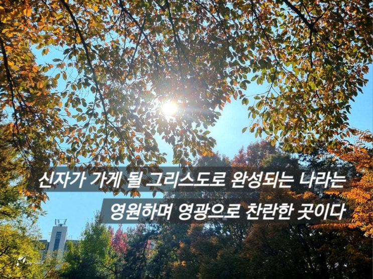 [아침묵상]찬란한 영광을 소망하며 믿음을 지키는 삶(요한계시록18장27-절) : 네이버 블로그