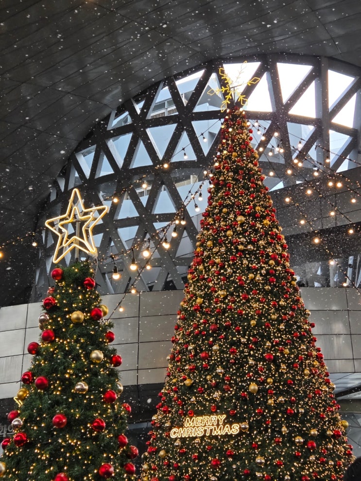 부산 크리스마스 빌리지 방문 후기 : 네이버 블로그