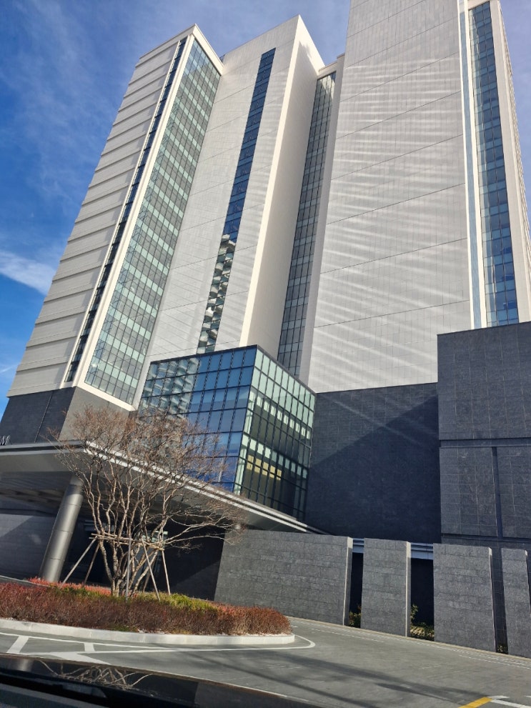 신라 모노그램 강릉 / 디럭스 패밀리 오션뷰 후기 / 수영장 / 조식 / 다이닝M / bar M / 키즈룸 / 회 배달 맛집 ...