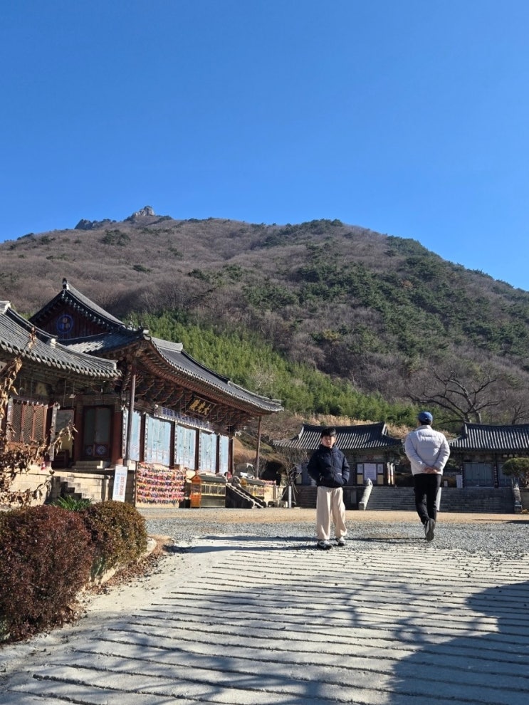 부산에서 가까운 표충사, 경남 사찰 여행 : 네이버 블로그