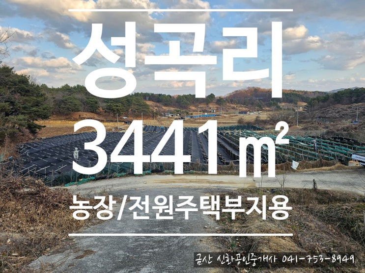 금산부동산/금산군토지/성곡리/4923번 : 네이버 블로그