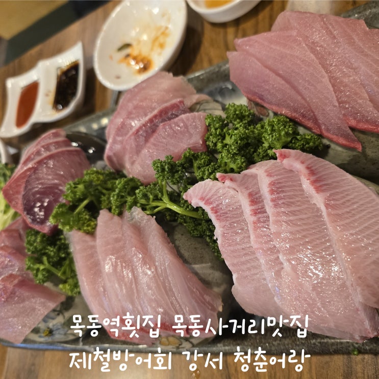 목동역횟집 목동사거리맛집 제철방어회 강서 청춘어랑 : 네이버 블로그